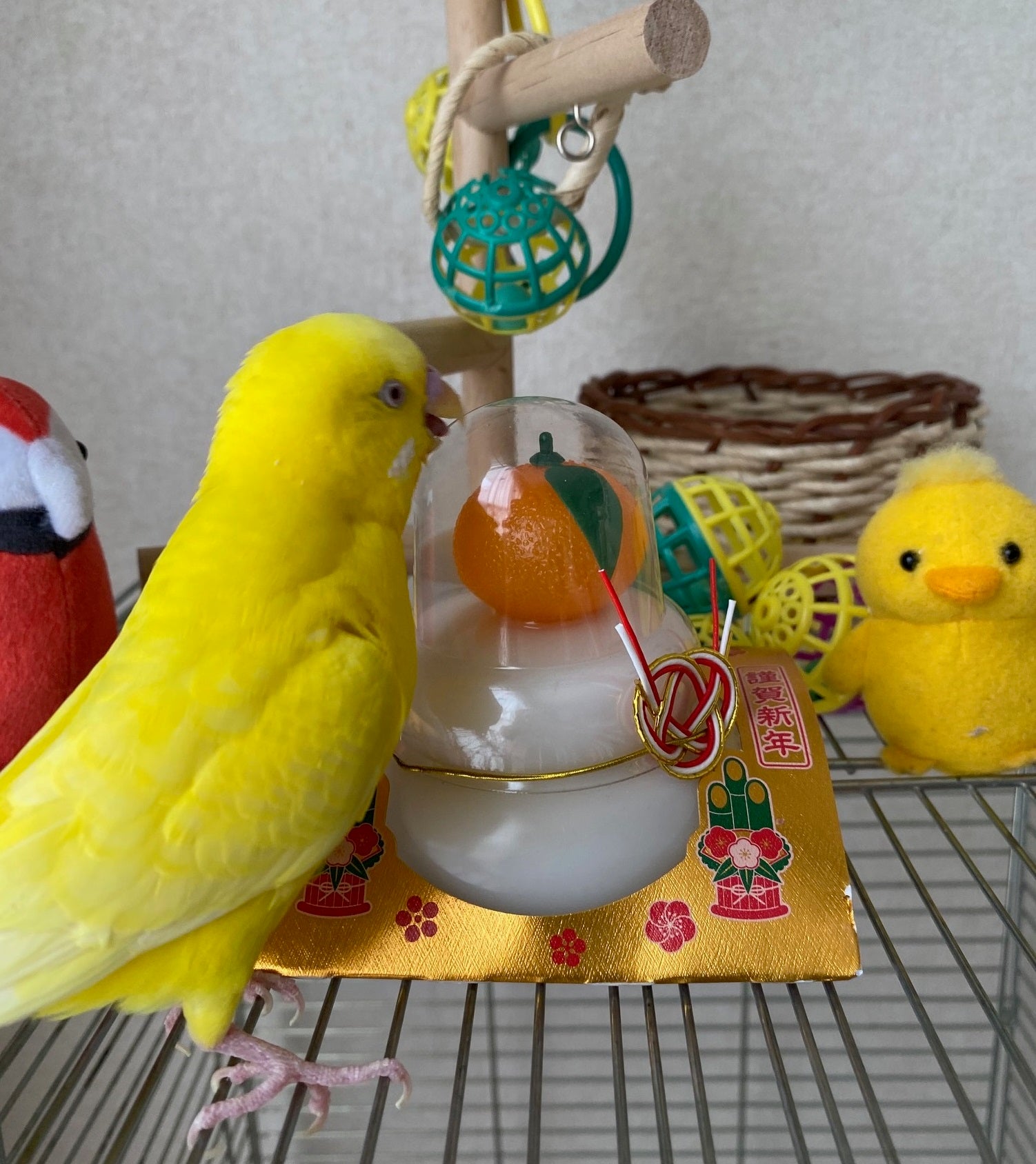 Happy New Year – Sweet Birdie Boutique International