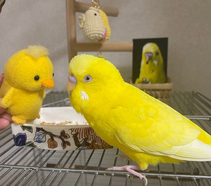 Get out! – Sweet Birdie Boutique International