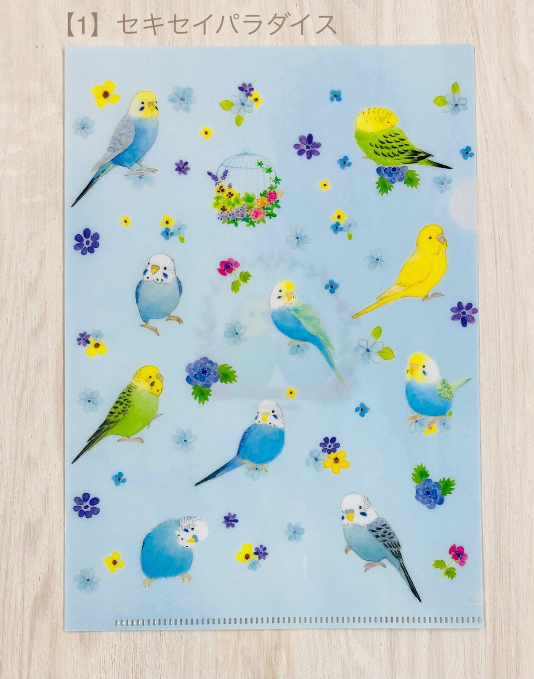 Sweet Birdie Boutique International