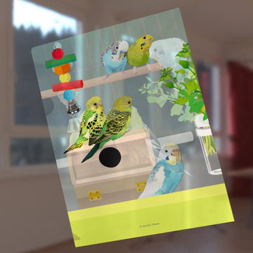 Sweet Birdie Boutique International